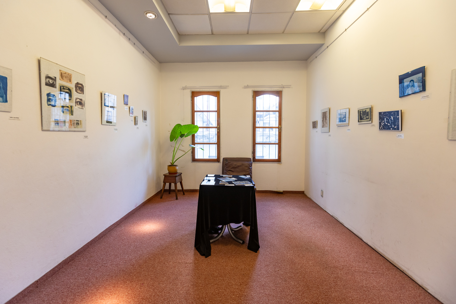 Muestra 2023 – Cooperativa de la Imagen